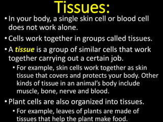 level of organization (science biology) .ppt