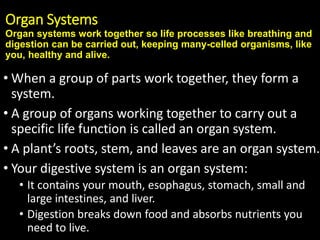 level of organization (science biology) .ppt