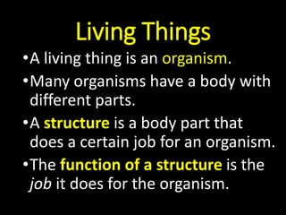 level of organization (science biology) .ppt