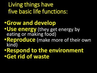 level of organization (science biology) .ppt