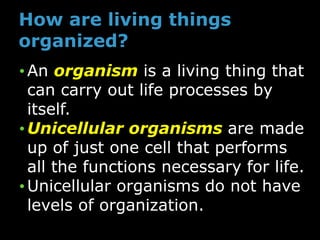 level of organization (science biology) .ppt