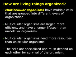 level of organization (science biology) .ppt