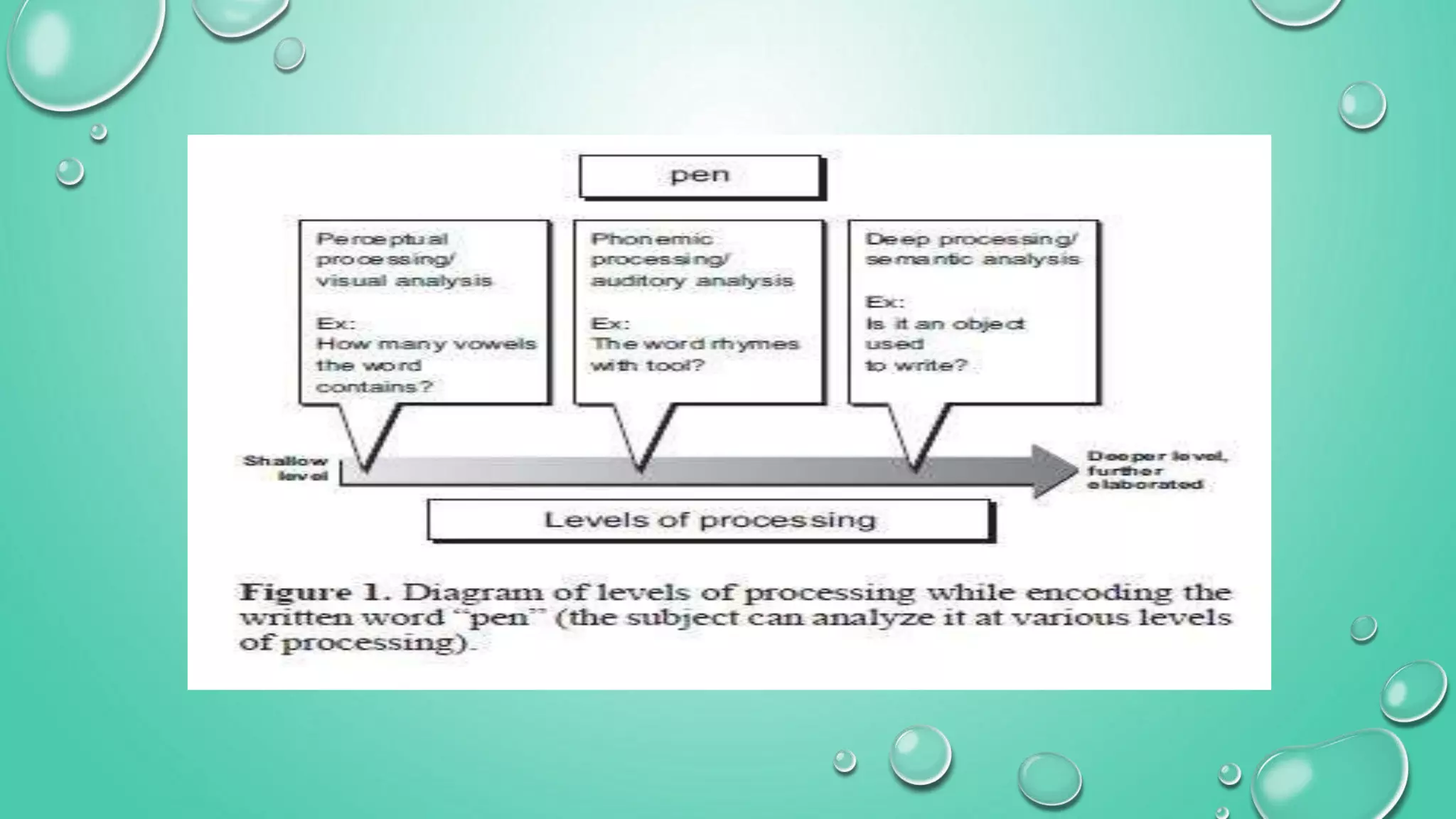 Level of processing | PPTX