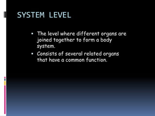 Level of structural organization | PPTX