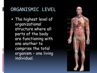 Level of structural organization | PPTX