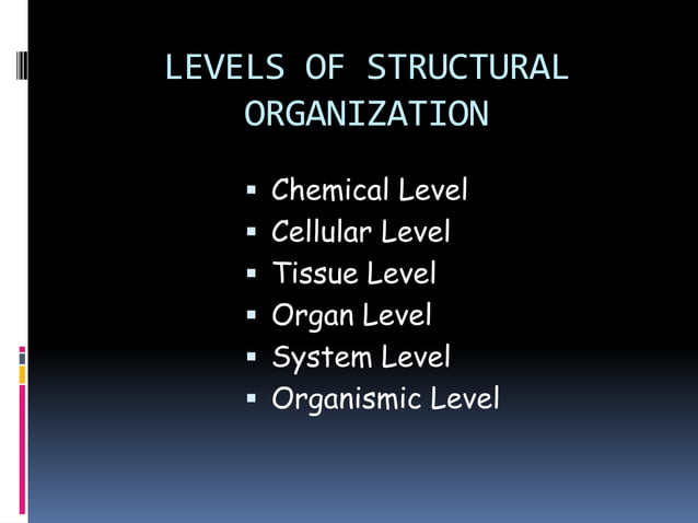 Level of structural organization | PPTX