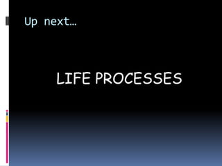 Level of structural organization | PPTX