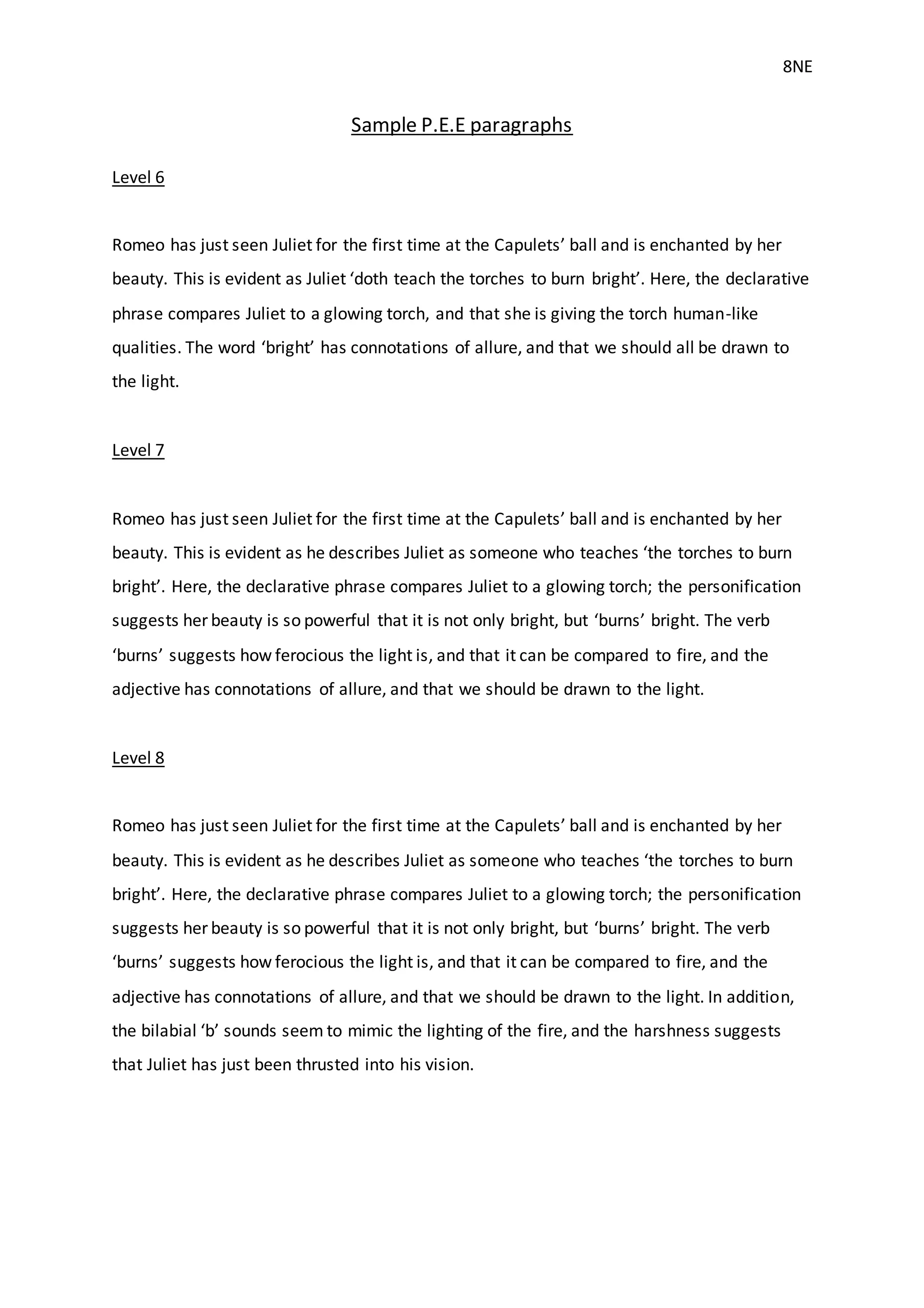 PEE Level paragraphs | DOCX