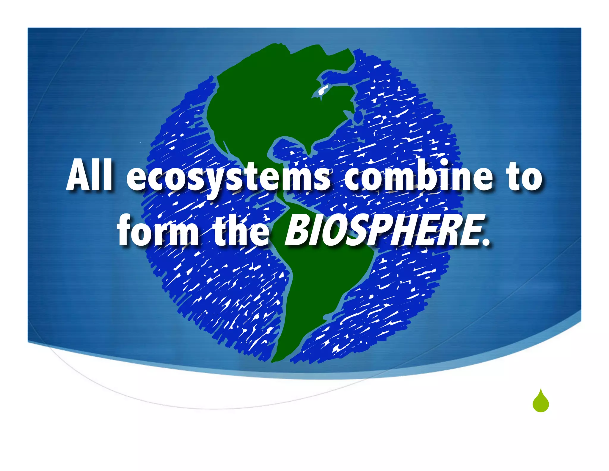 Levels Of Bio Organization | PPT