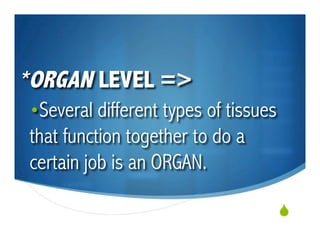Levels Of Bio Organization | PPT