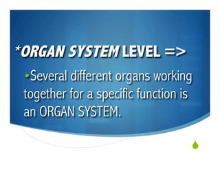 Levels Of Bio Organization | PPT
