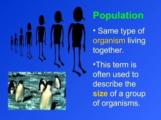 Levels Of Organization | PPT