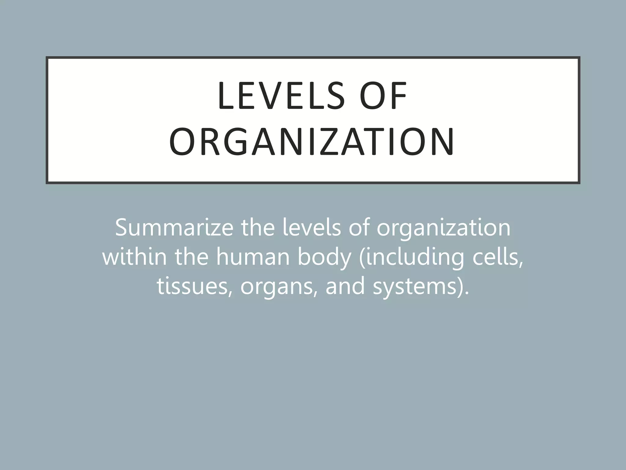 Levels Of Organization | PPT