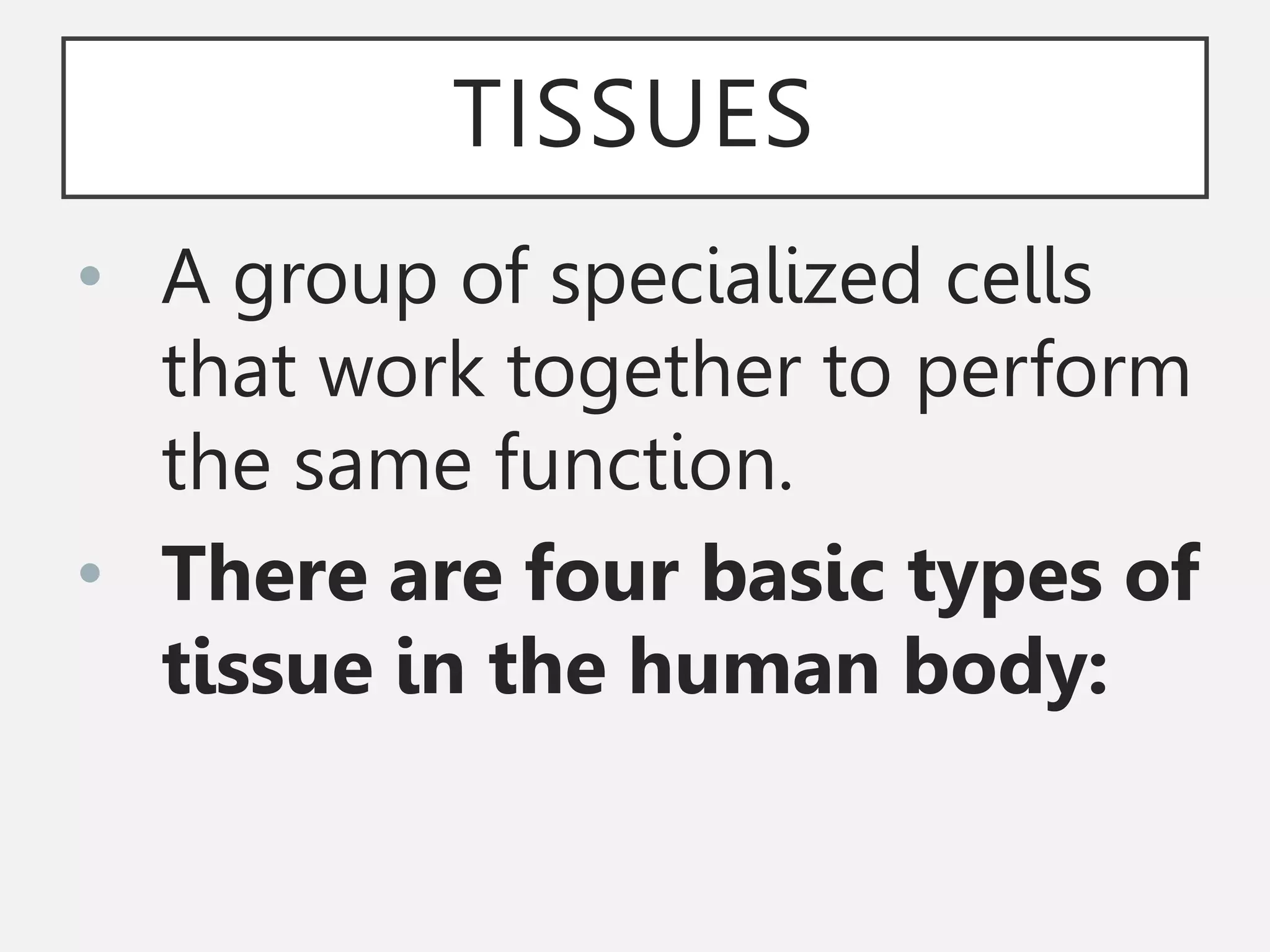 Levels Of Organization | PPT