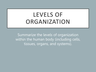 Levels Of Organization | PPT