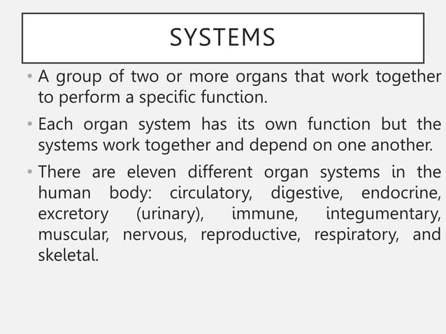 Levels Of Organization | PPT
