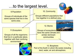 Levels-of-organization (1).ppt