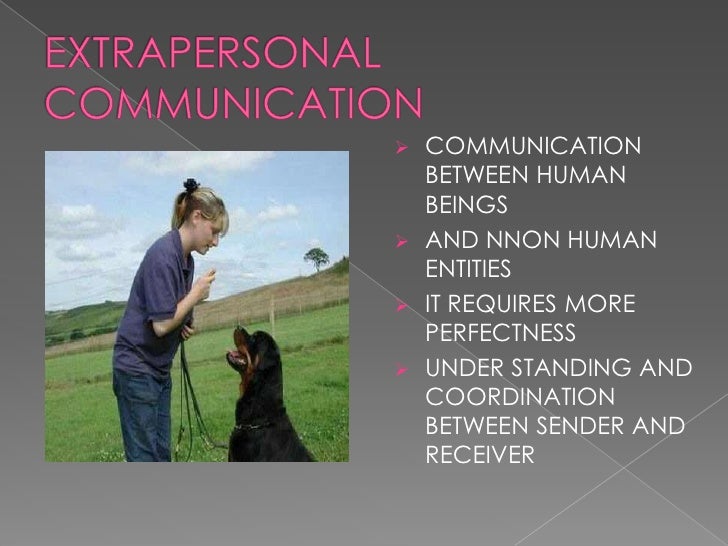 Levels and flow of communication