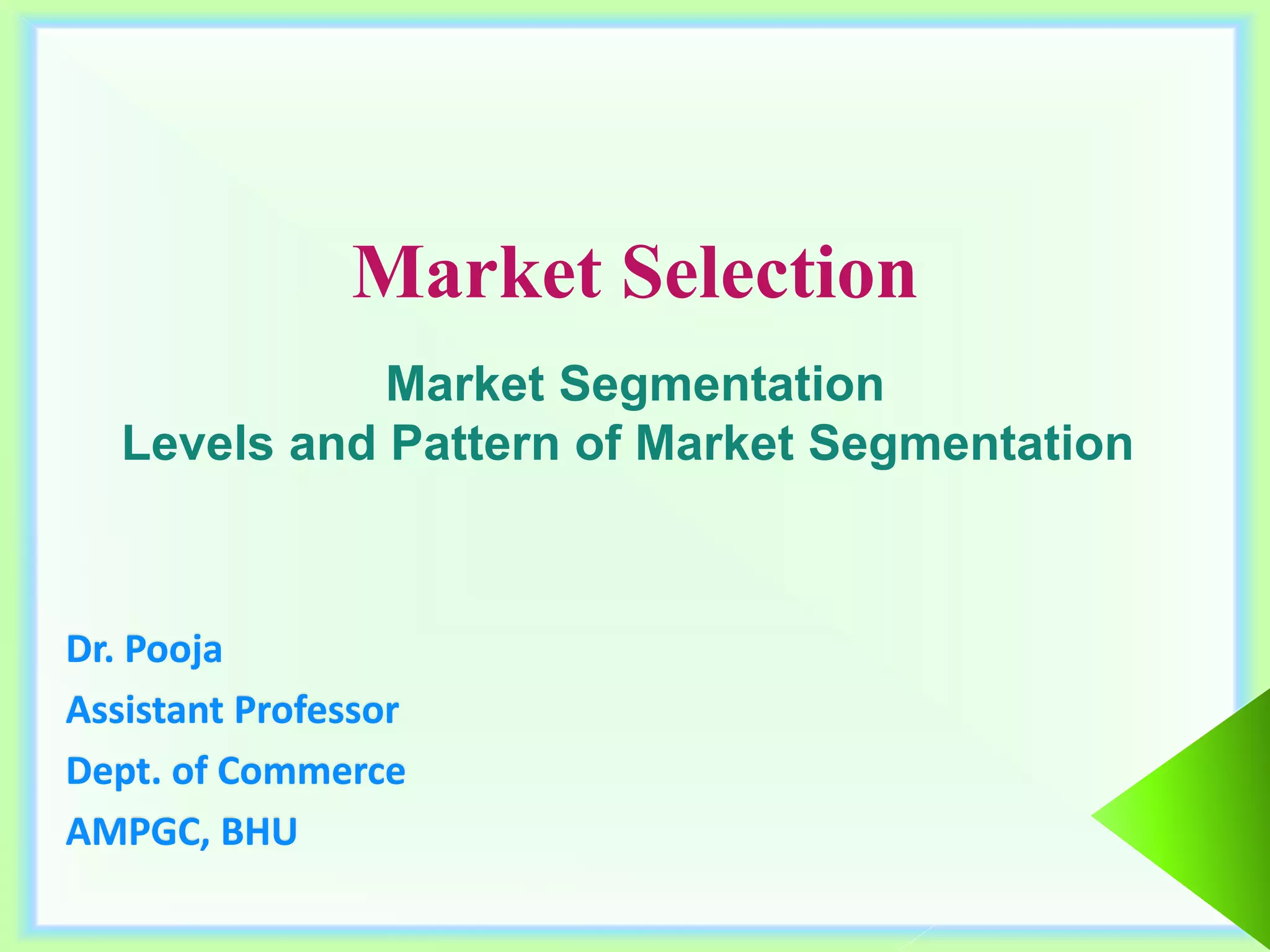 Levels and Pattern of Market Segmentation | PPTX
