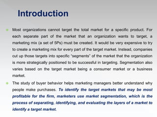 Levels and Pattern of Market Segmentation | PPTX