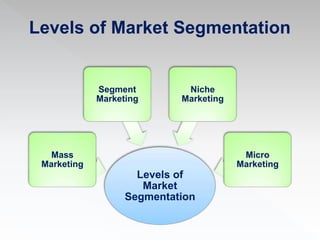 Levels and Pattern of Market Segmentation | PPTX