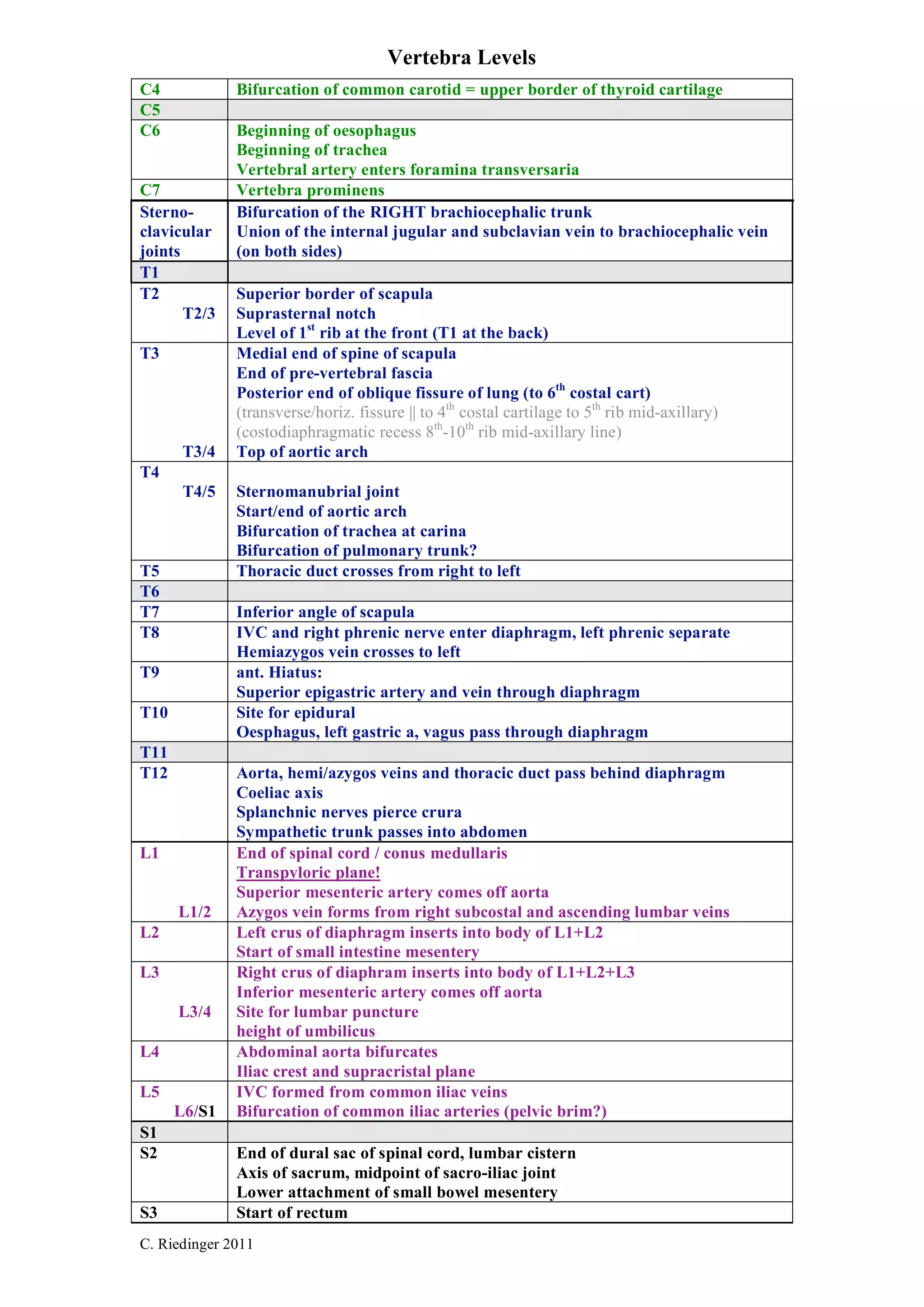 Overview of Structures at Different Vertebrae Levels | PDF