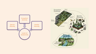 Levels of biodiversity (Plant Biodiversity) | PPTX