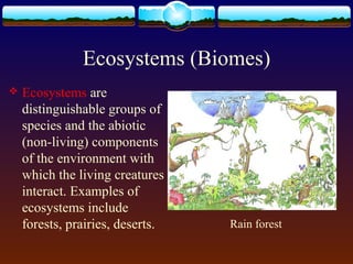 Levels of biological organization | PPT