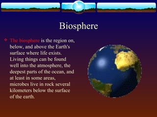 Levels of biological organization | PPT