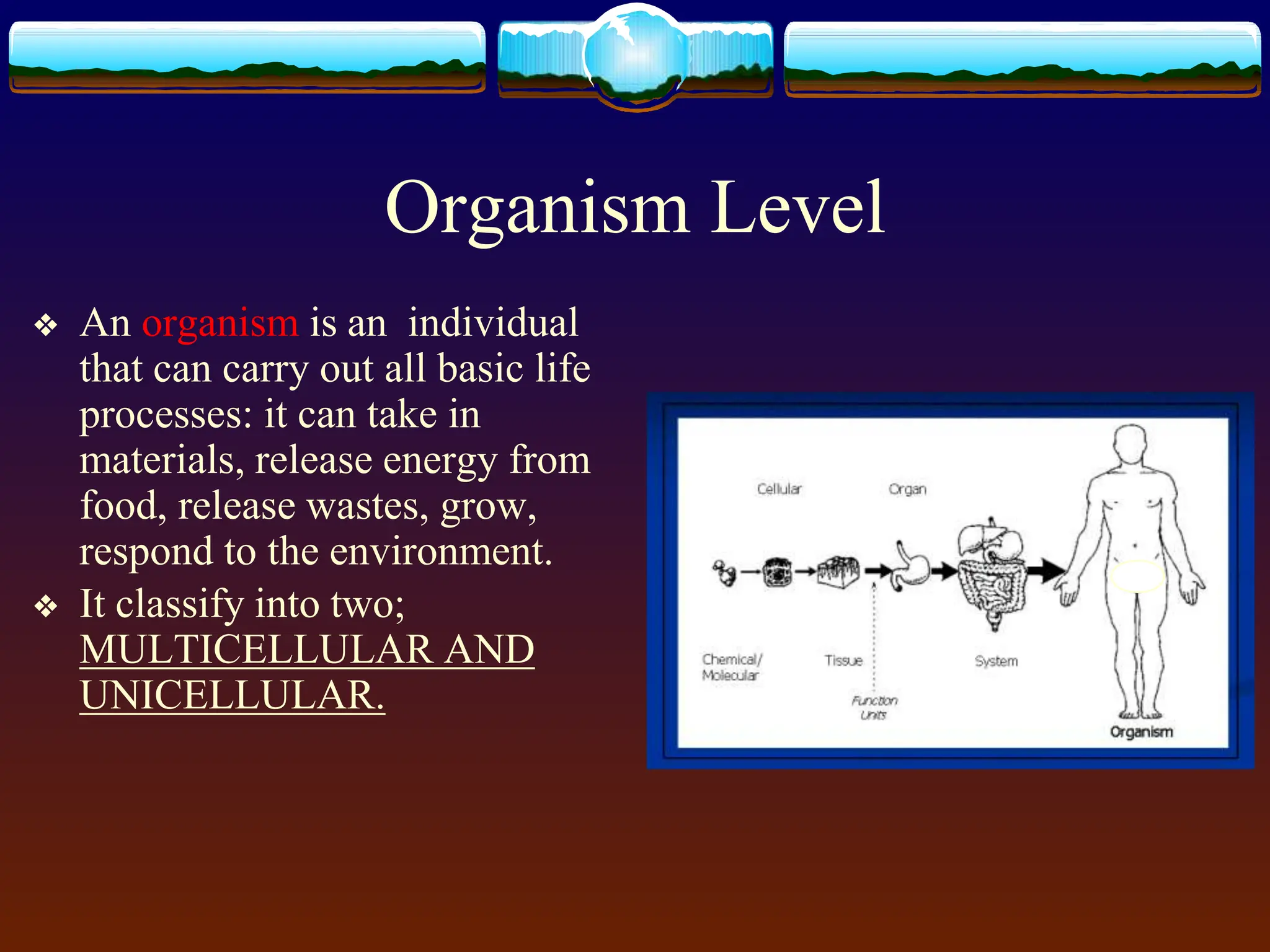 levelsofbiologicalorganization-160210223046 (1).pptx