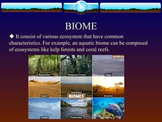 levelsofbiologicalorganization-160210223046 (1).pptx