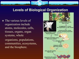 levelsofbiologicalorganization-160210223046 (1).pptx