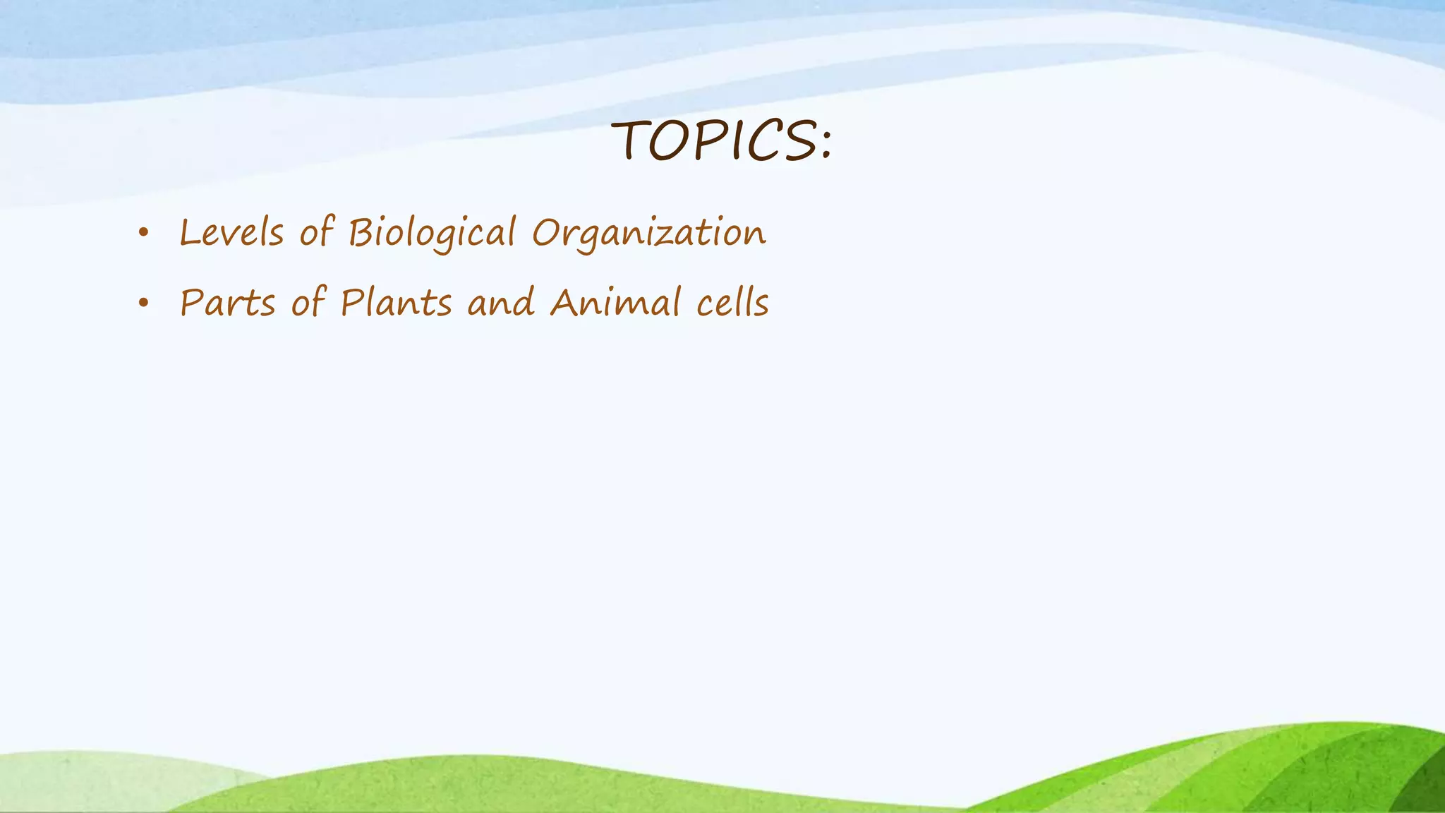 Levels of biological organization | PPT