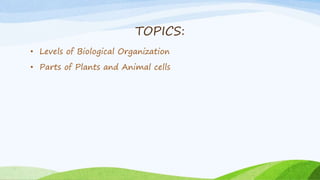 Levels of biological organization | PPT