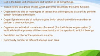 Levels of biological organization | PPT