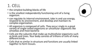 Levels of Biological Organization.pptx
