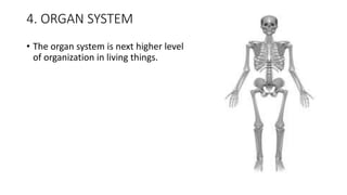 Levels of Biological Organization.pptx