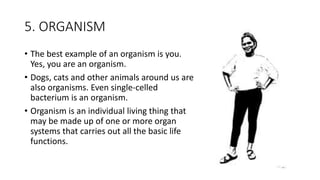 Levels of Biological Organization.pptx