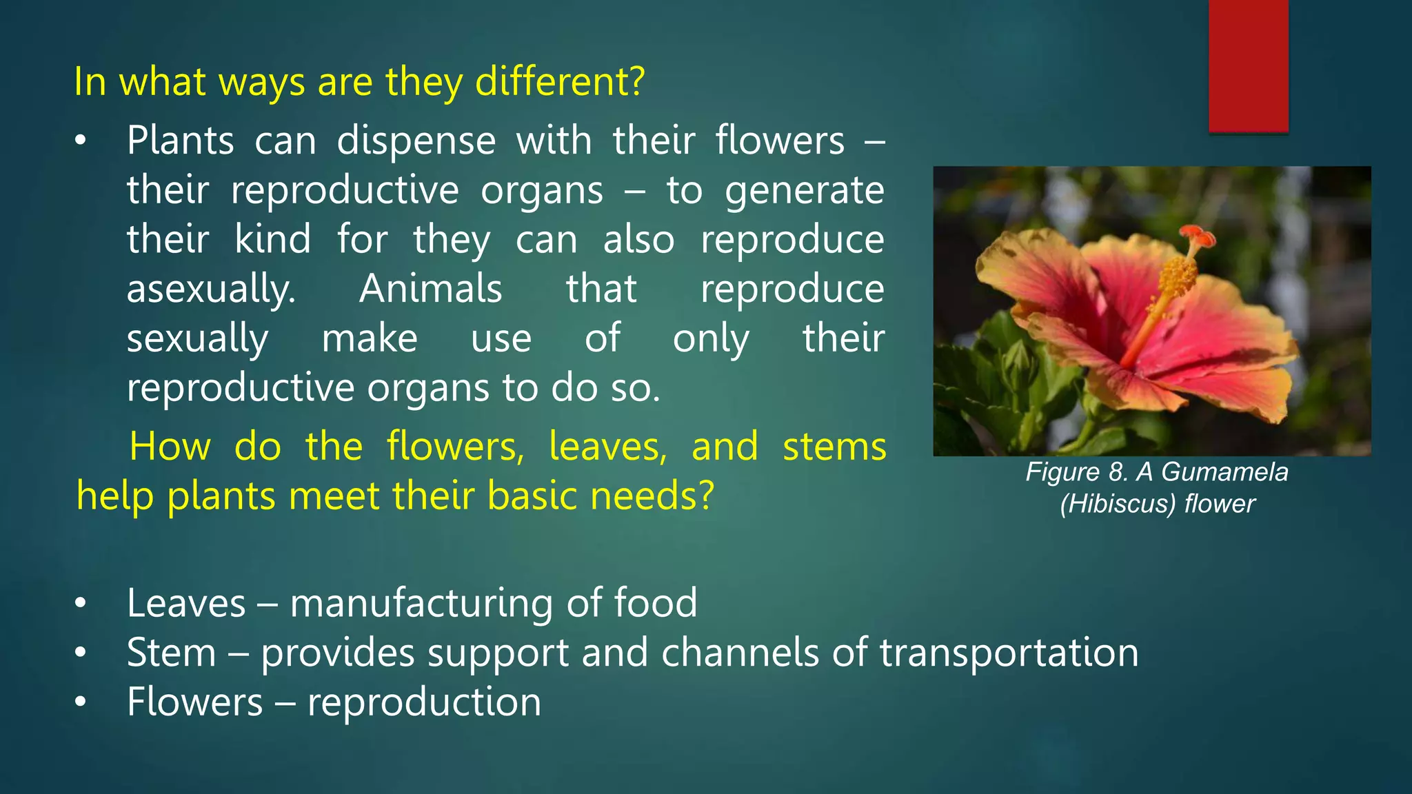 Levels of Biological Organization.pptx