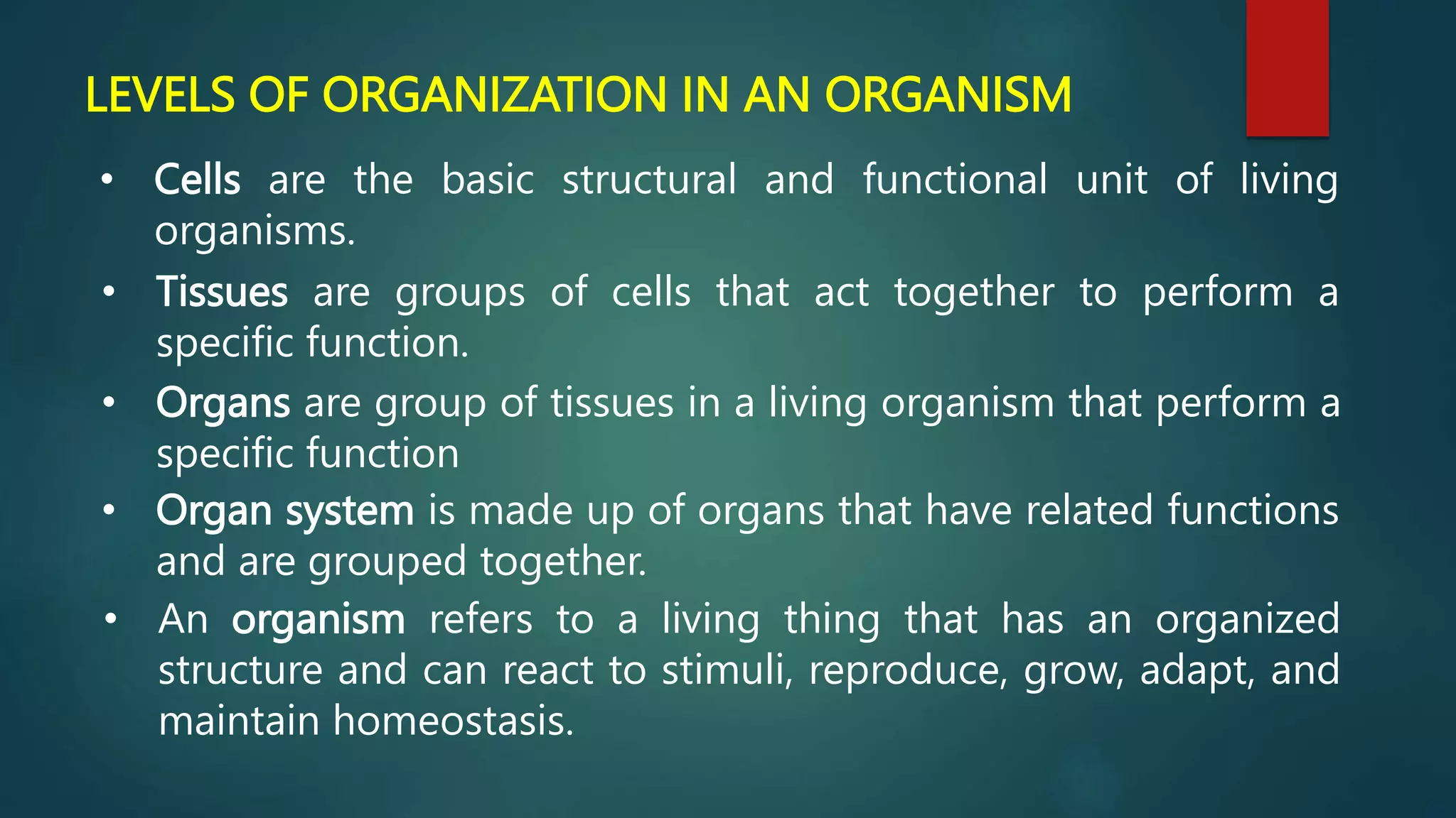 Levels of Biological Organization.pptx | Biological Sciences | Science