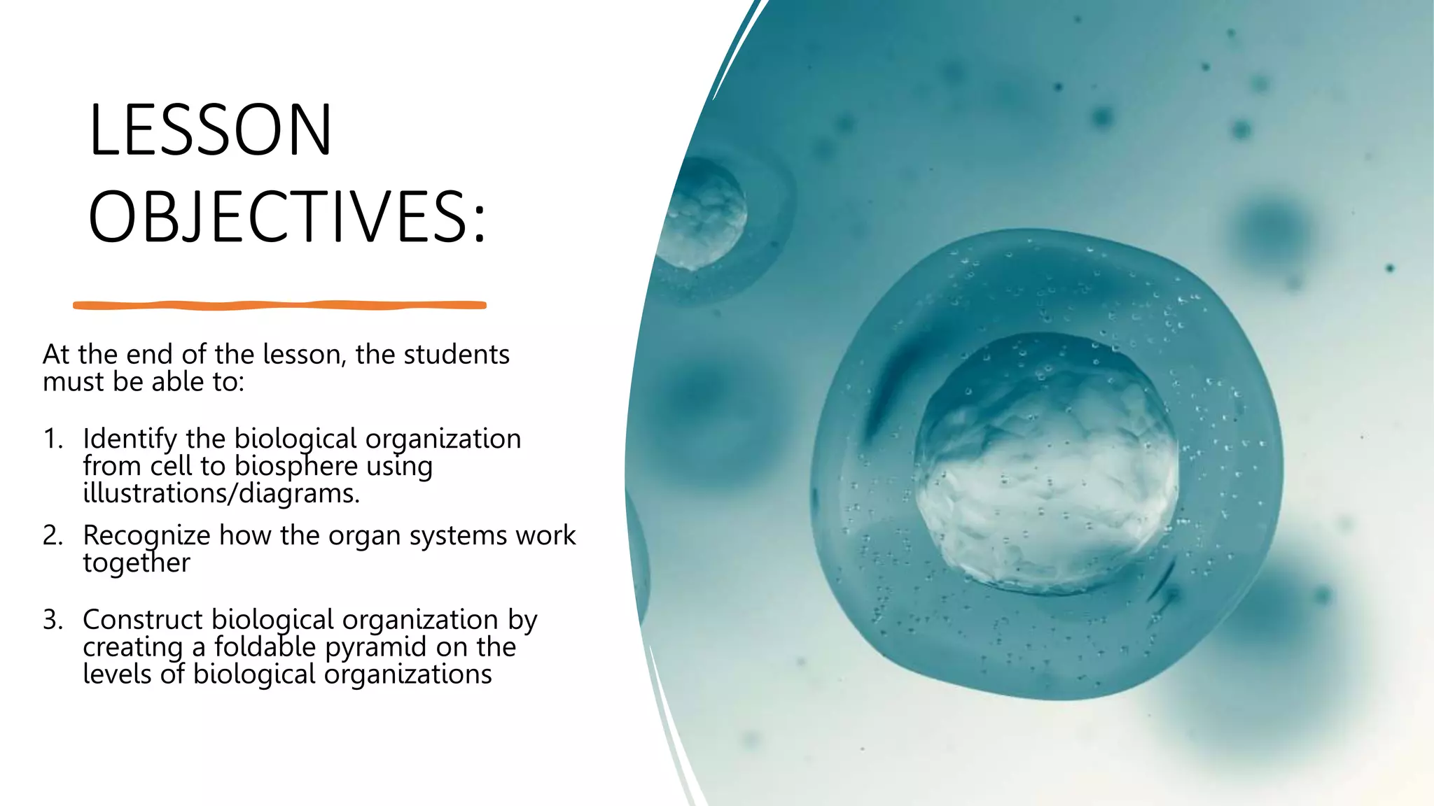 Levels of Biological Organization.pptx