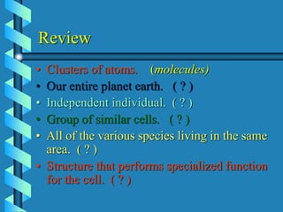 PPt on Levels of Biological Organization | PPT