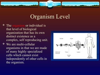 levels of biological organization....ppt