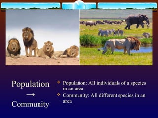 levels of biological organization....ppt