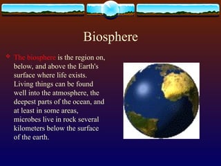 levels of biological organization....ppt