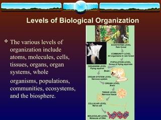 levels of biological organization....ppt