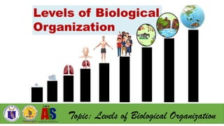 Levels of Biological Organization in Living Organisms | PPTX