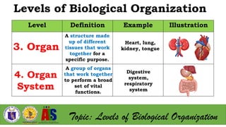 Levels of Biological Organization in Living Organisms | PPTX