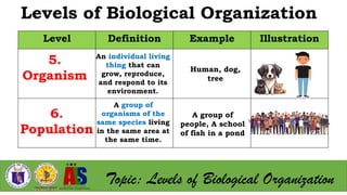 Levels of Biological Organization in Living Organisms | PPTX
