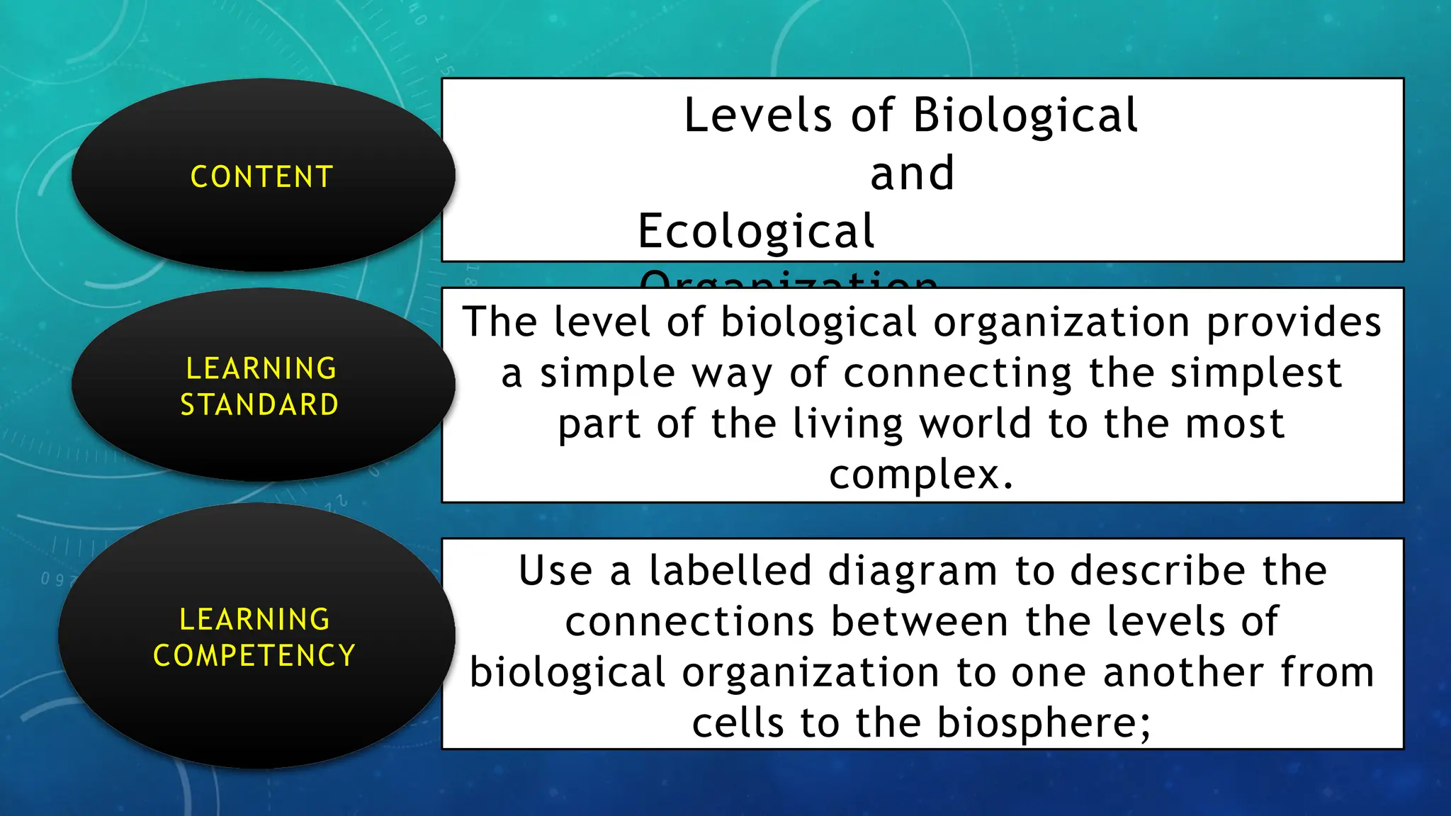 Levels of biological Organization.pptxxxxxxxxx | PPTX